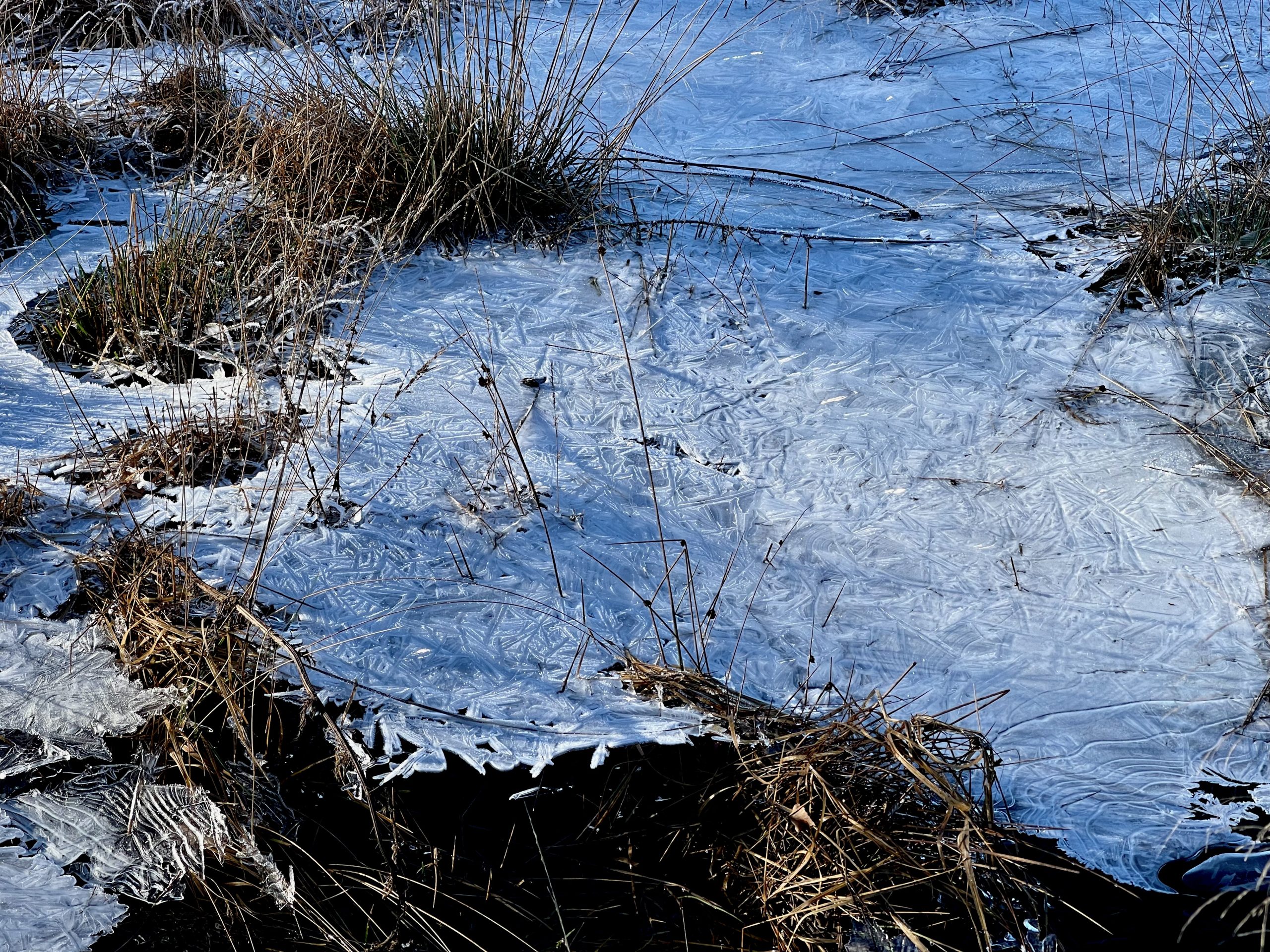 Ice art: the frozen ponds of Chobham Common. | Perivale Park London