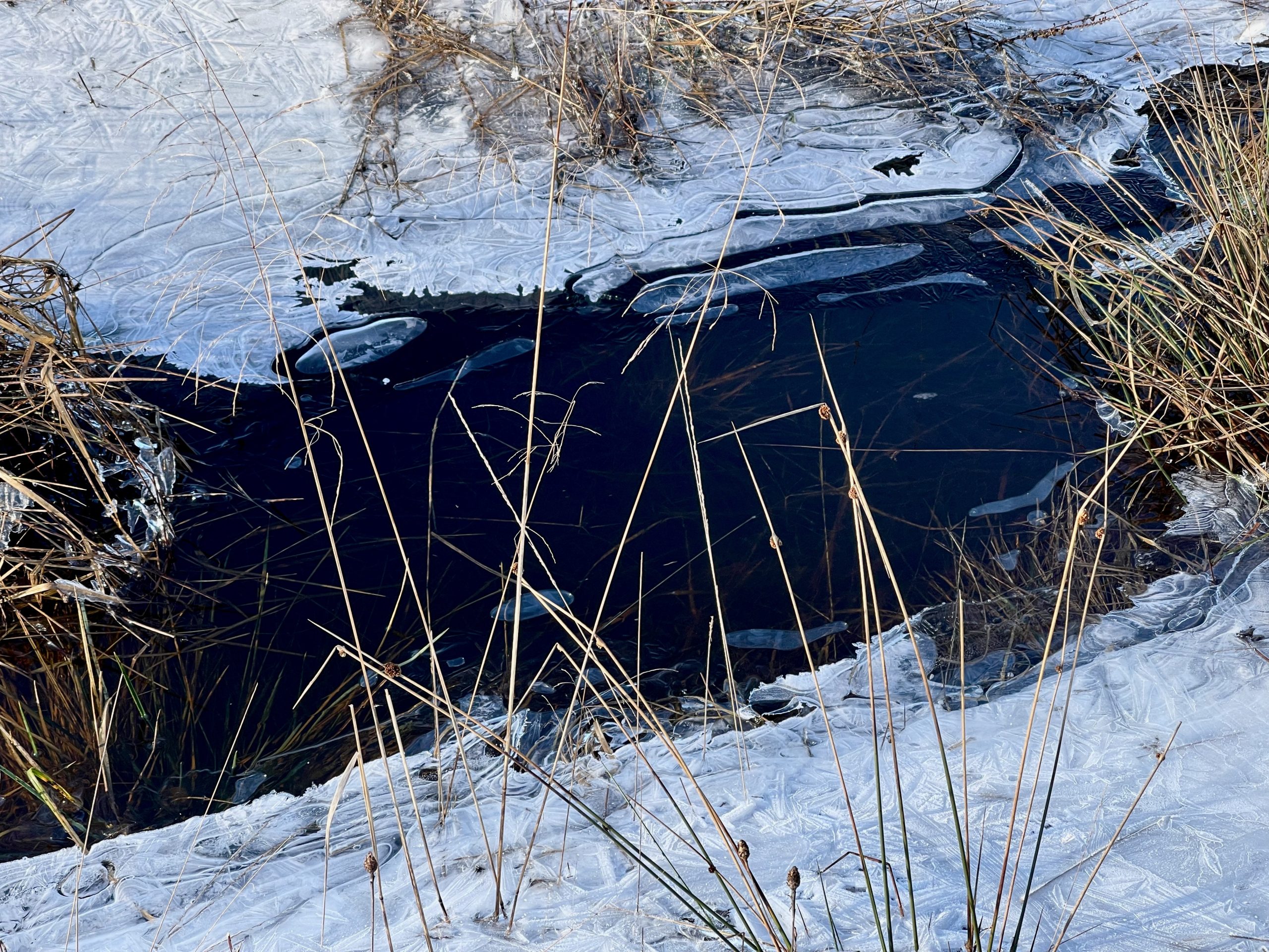 Ice art: the frozen ponds of Chobham Common. | Perivale Park London