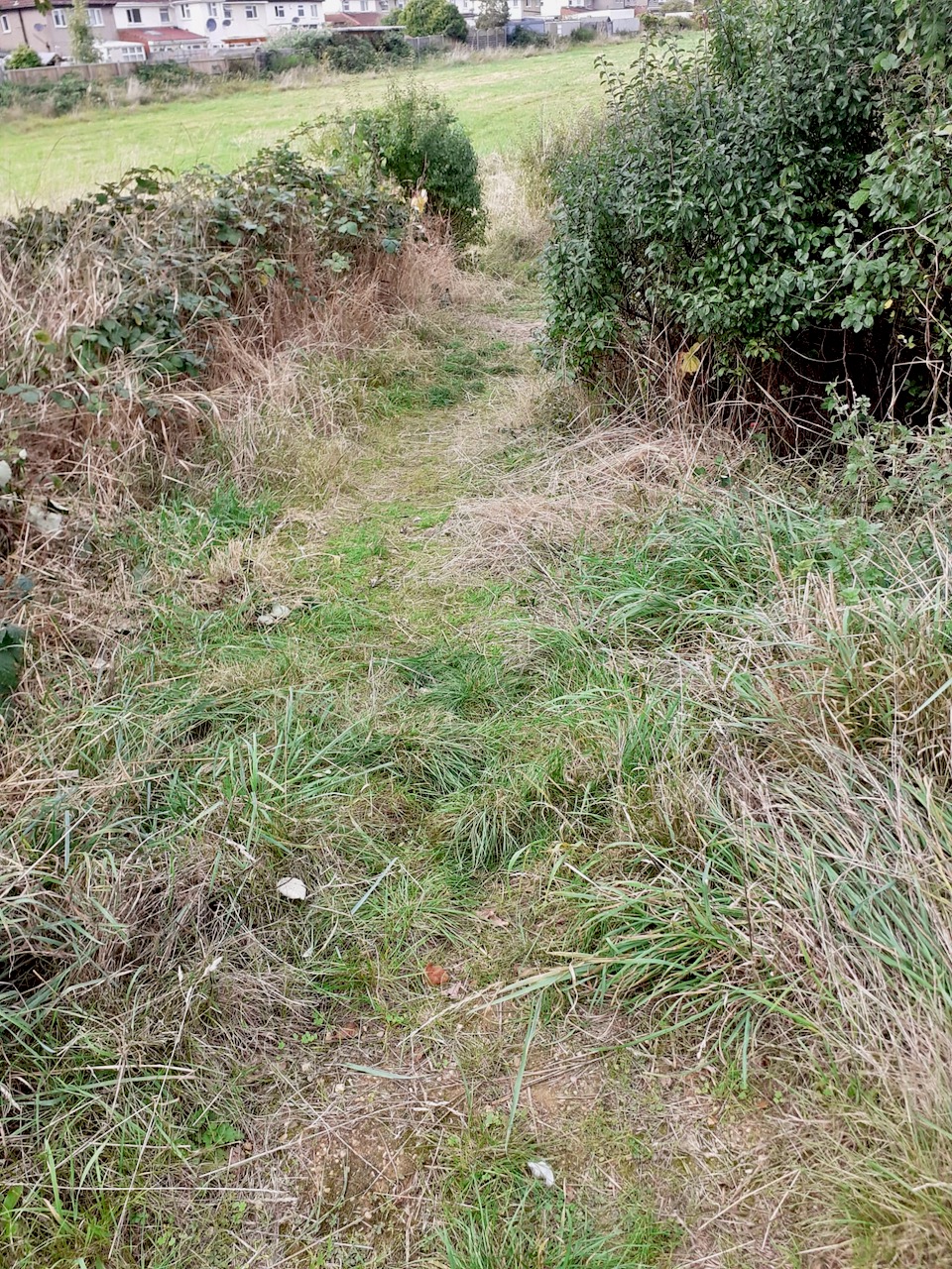 Overgrown path now clear – thanks to local volunteers. | Perivale Park ...